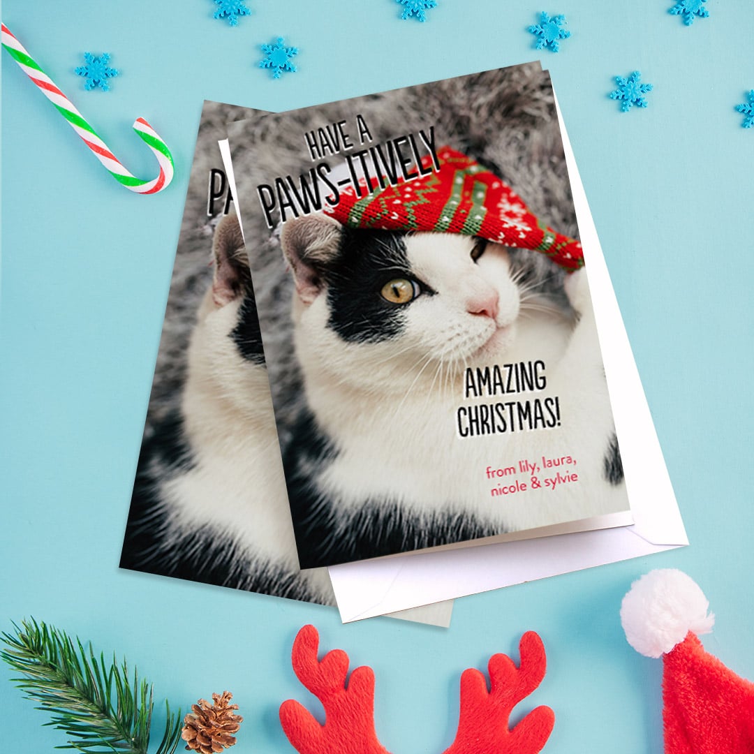 Creative Tips for Pet-Themed Christmas Cards | Snapfish IE