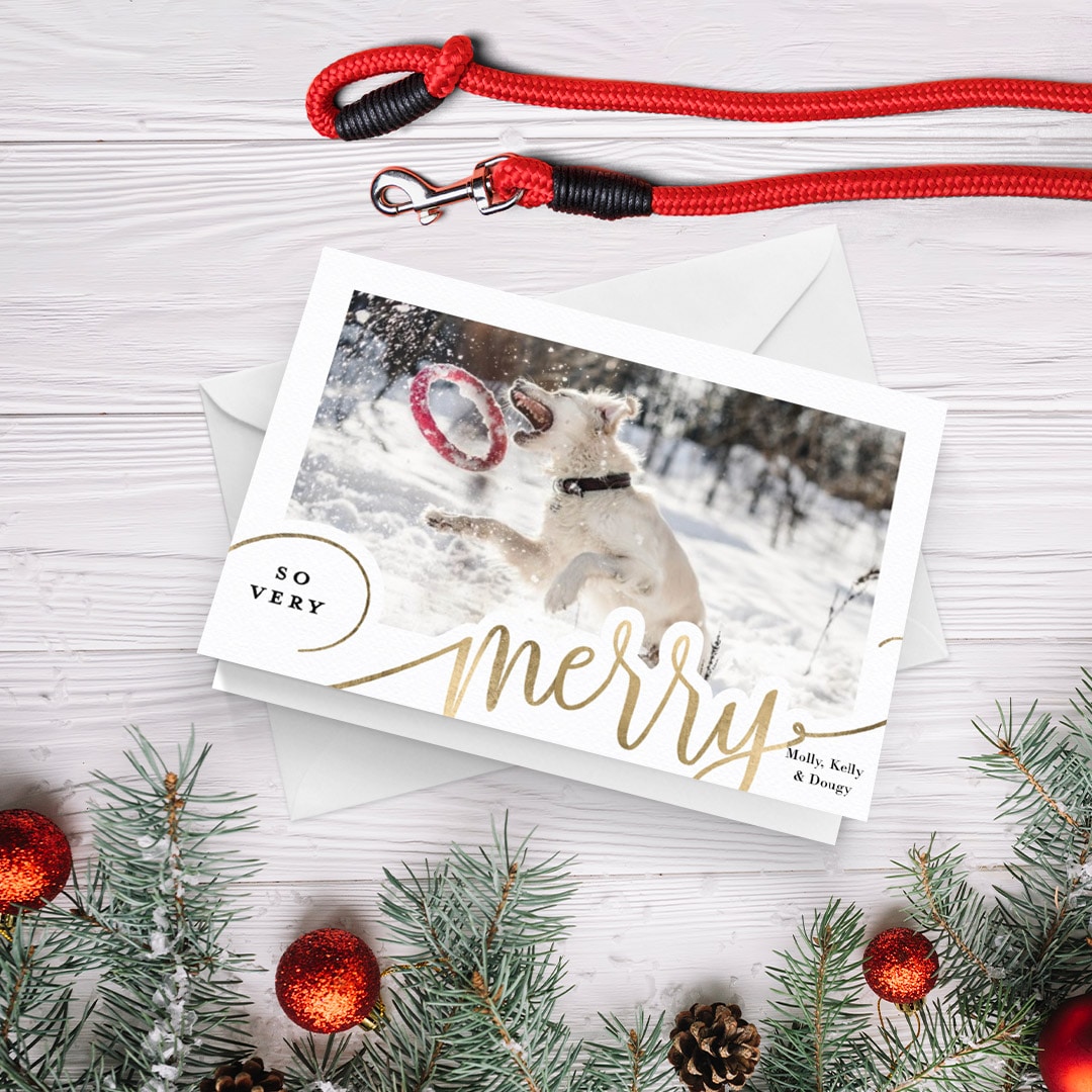 Creative Tips for Pet-Themed Christmas Cards | Snapfish IE