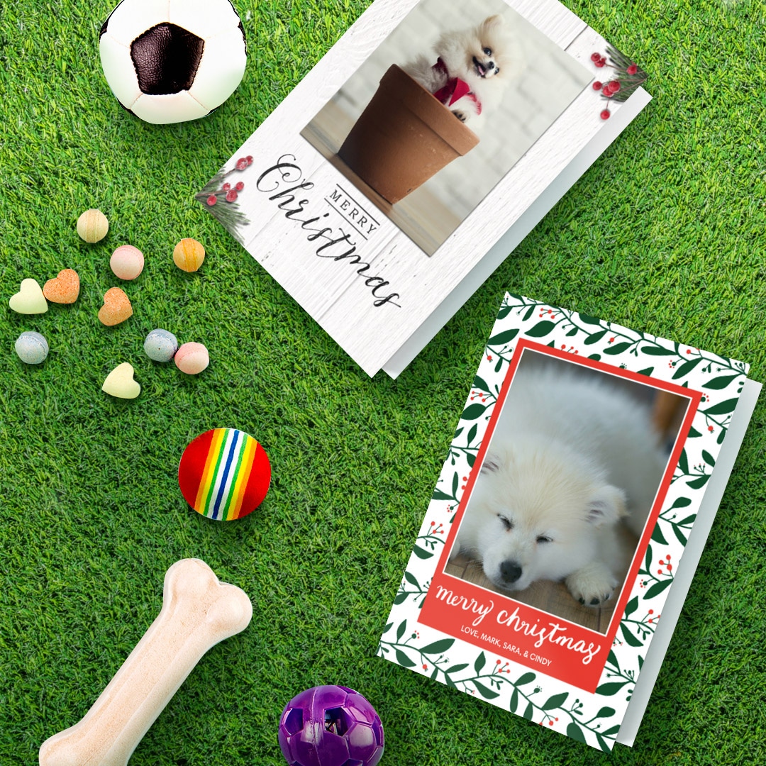 Creative Tips for Pet-Themed Christmas Cards | Snapfish IE